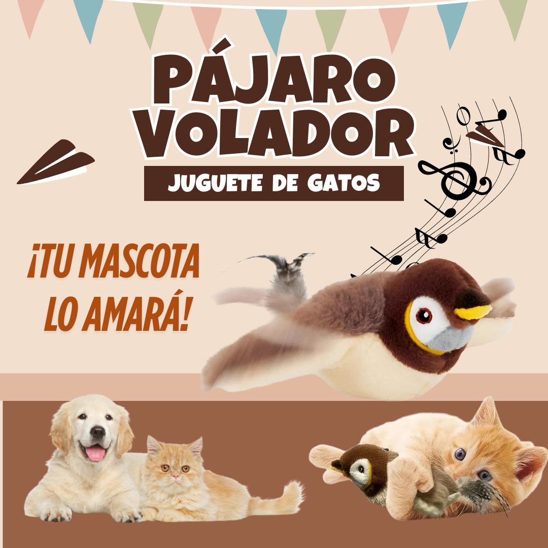 Productos – Página 15